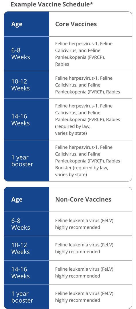 Feline Bordetella Vaccine Schedule Vaccine Schedule