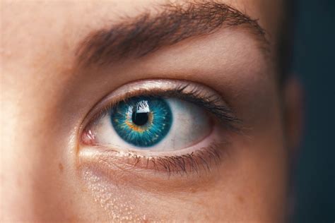 How To Teach A Computer To See With Convolutional Neural Networks