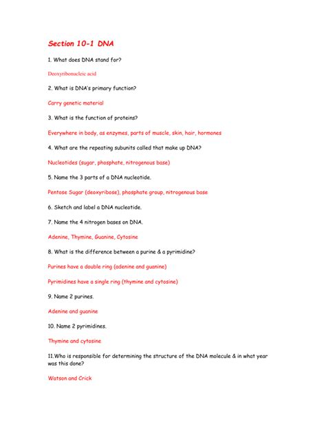Protein Synthesis Worksheet Answer Key Proworksheet