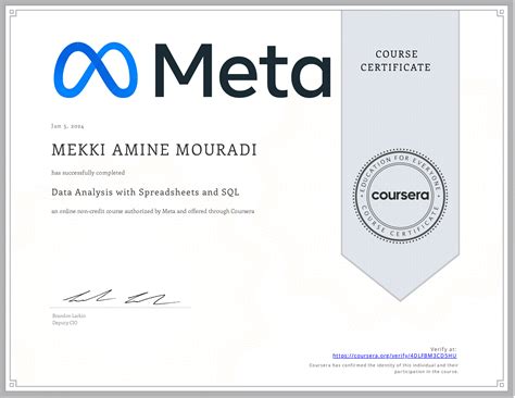 Sql Projects Mekki Mouradi