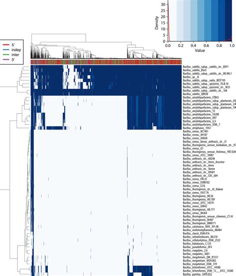 heat map of sense rna segment conservation the proportion of sequence
