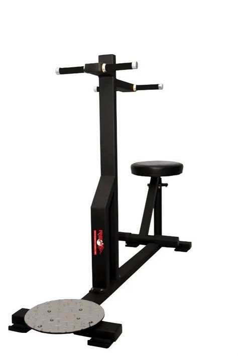 Manual Iron Double Standing Twister Stepper For Gym At ₹ 14500piece In Meerut