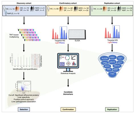 Tandem Mass Tag Proteomics Service Mtoz Biolabs