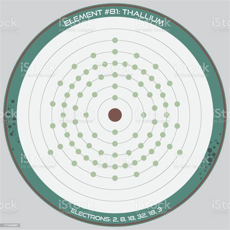 Detailed Infographic Of Thallium Stock Illustration Download Image