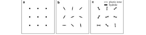 The Morphology Evolution Of Hydrides Simulated By Pfm For 5000 Time Download Scientific Diagram