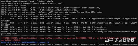 Libfuzzer白盒api Fuzz 知乎