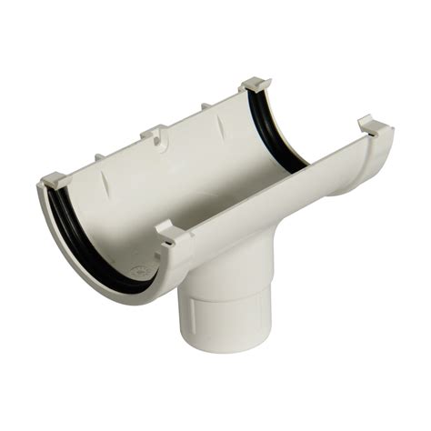 White Rain Head Running The Shed Project