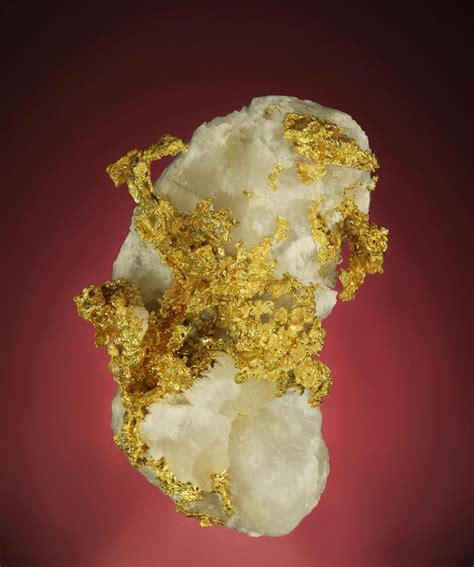 Native Gold On Quartz Natural Gold Specimen Kenton Mine Alleghany