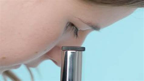 How To Observe Cells Under A Microscope Living Organisms Ks3 Biology Bbc Bitesize