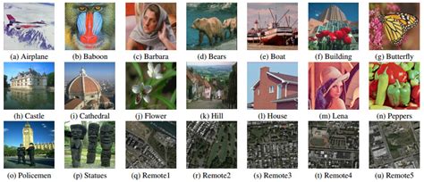 Group Sparse Representation And Saturation Value Total Variation Based