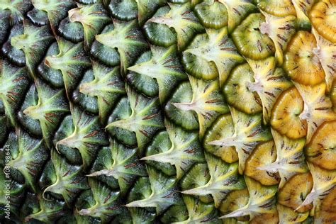 Abstract Close Up Texture Details Background Of Pineapple Fruit Skin
