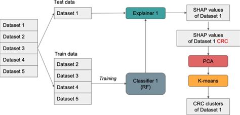 Bmc On Linkedin Leveraging Explainable Ai For Gut Microbiome Based