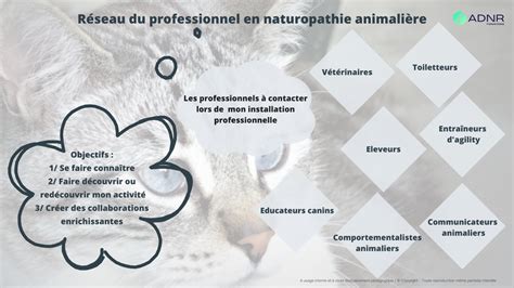 Le Réseau Du Professionnel En Naturopathie Pour Les Animaux Masterclass Adnr