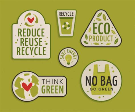 How Do Eco Labels Influence Consumer Trust