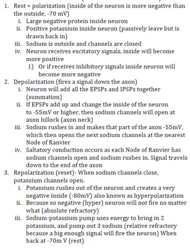 Neuro Exam 2 Flashcards Quizlet