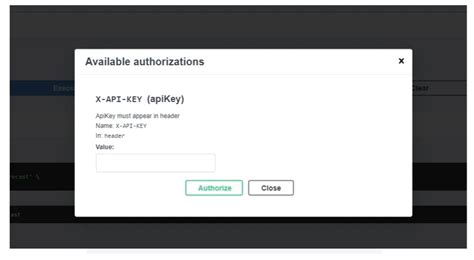 using api key authorization with middleware and attribute on asp