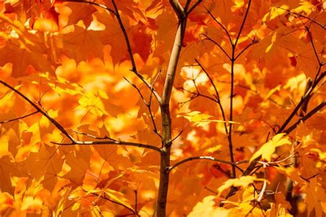 Lucy Kilpatrick Home