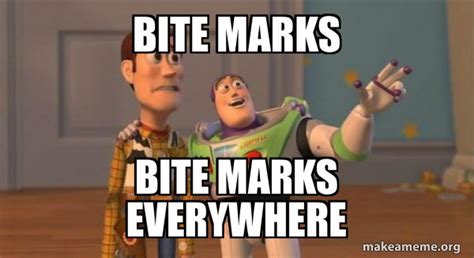 Bite Marks Bite Marks Everywhere Buzz And Woody Toy Story Meme Meme