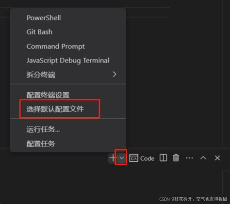 解决vscode终端中文乱码问题 vscode 桂花树开，空气也变得香甜 2048 ai社区