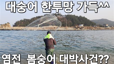 염전 봄 대숭어 대박사건투망 Cast Catch 숭어동해바다 Youtube