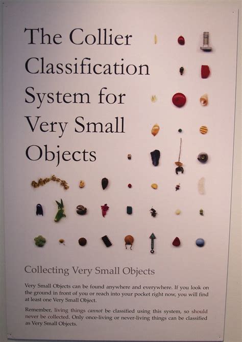 Examples Of Small Objects At Norma Friedland Blog