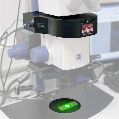 Stereo Microscope Fluorescence Attachment At Sean Chaffey Blog