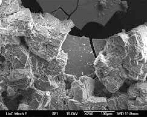 Fig A Scanning Electron Microscope Image Of Mussel Shell Fragments