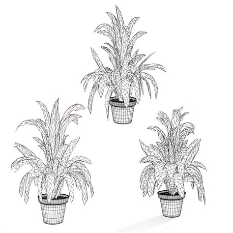 Bromeliad With 3 Variations Flippednormals