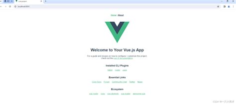 脚手架vue cli自定义创建Vue项目完整详细步骤 阿里云开发者社区