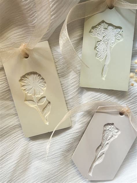 Air Freshener Tab For Small Spaces 2pk Closet Scent Hanger Plaster