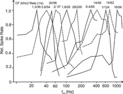neuronal coding of frequency and modulation as a consequence of