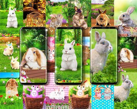 Cute Bunny Easter Wallpapers Para Android Descargar