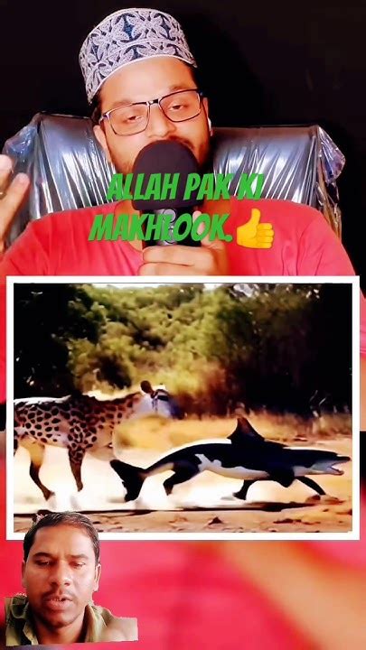 👍🥰viral Shortvideos Grenscreen Amazingfacts Youtube