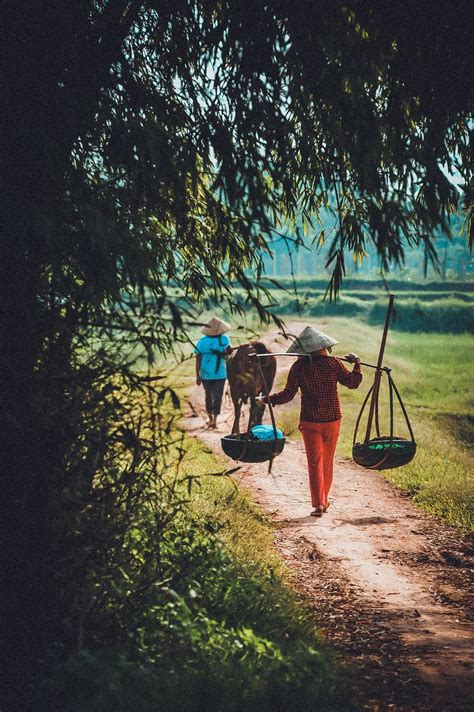 베트남 농부들 한 지방 Pixabay의 무료 사진 Pixabay