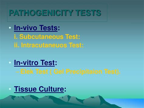 Ppt بسم الله الرحمن الرحيم Powerpoint Presentation Id5858660