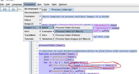 Fiji Imagej Is Not Recognizing Designated Folder Location Usage