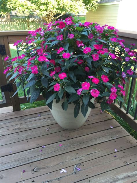 Flower Patio Design Ideas For A Stunning Garden
