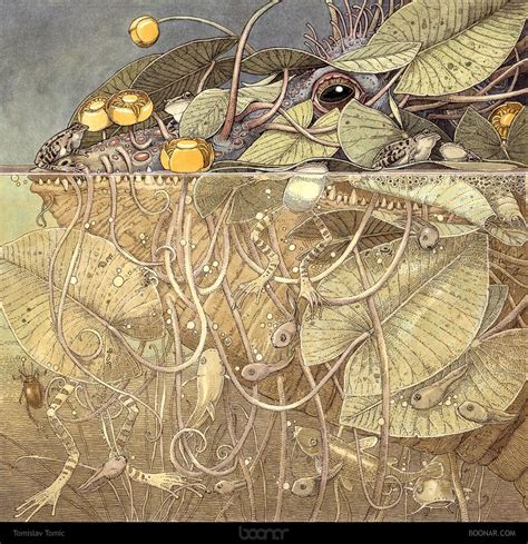 Tomislav Tomic Book Artwork Illustration Illustrators