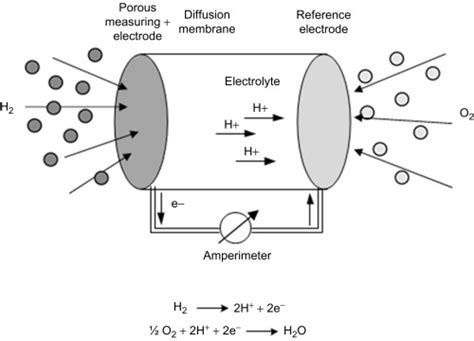 Electrochemical Sensors Principles Types Applications And Future