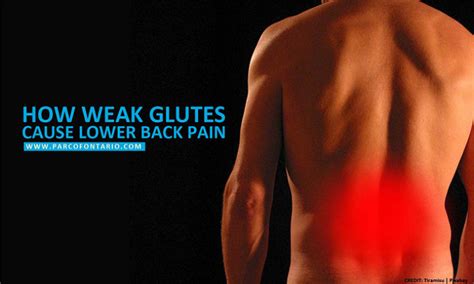 How Weak Glutes Cause Lower Back Pain The Physiotherapy And