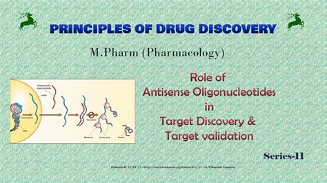 Role Of Antisense Oligonucleotides In Target Discovery And Validation Series 11 Youtube
