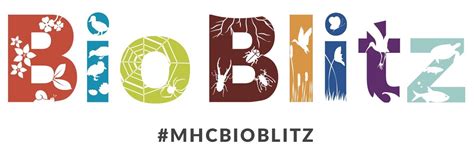 Safety Information Bioblitz