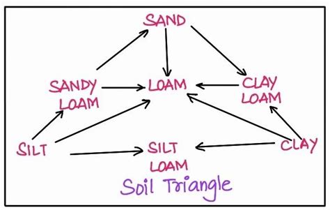 Soil Types In India Types Traits And Agricultural Impact Pwonlyias