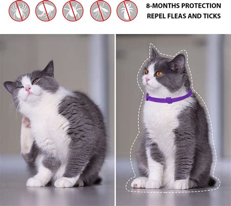 2 Pack Cat Flea Collar 8 Months Protection Repels Fleas And Ticks Safe And Effective