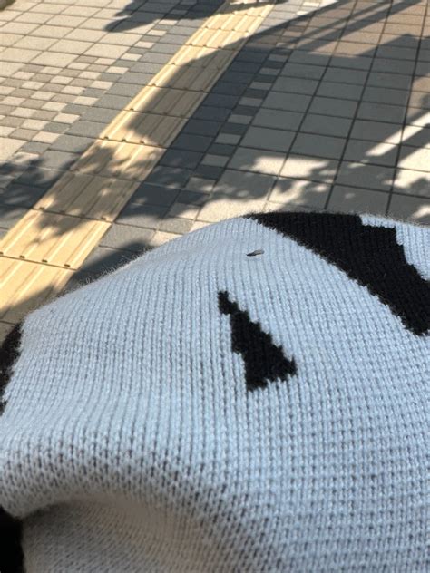 北海道雪蟲｜直擊有片日本滿天飛蟲實況！今年比往年多10倍！即睇雪蟲5大faq︰點解今年咁多？會否飛入口？ 主場·日本 玩樂旅遊 生活 Etnet 經濟通香港新聞財經資訊和生活平台