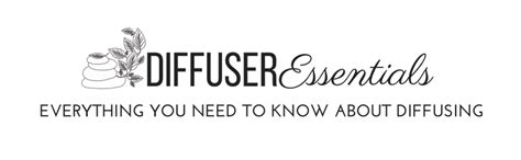 Car Diffusers What You Should Know Diffuser Essentials