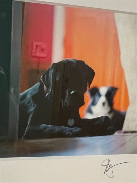 Lenore And Rose 1 Bedlam Farm