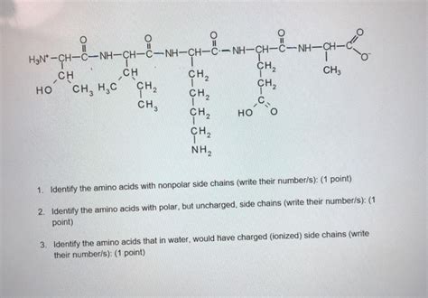 Solved H N Ch Cnhch Cnh Ch C Nh Ch C Nh Ch Ch Ch Ch Ch Chegg Com