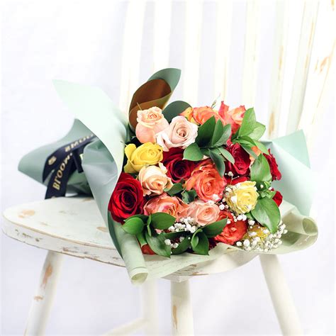Roses America Blooms