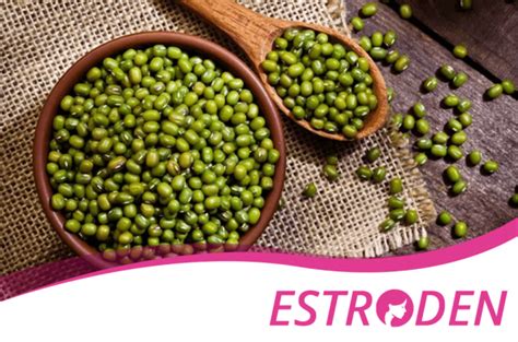 Mung Beans Benefits And Nutrition Estroden Health Wellness